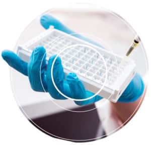 Aviation Fuel Testing for Microbial Contamination | Conidia Bioscience