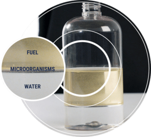 How to handle Fuel Contamination | Conidia Bioscience